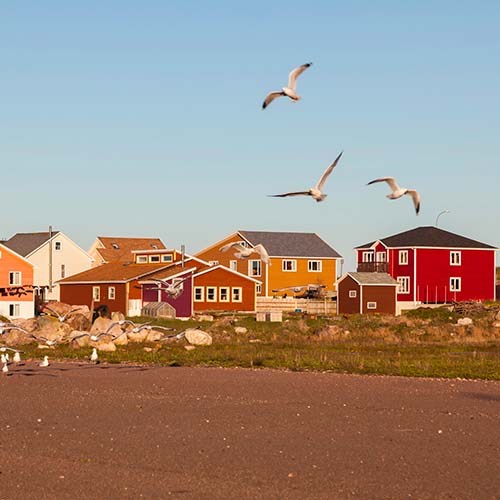 Terre-Neuve & Saint-Pierre-et-Miquelon (13 jours) | Voyages Traditours